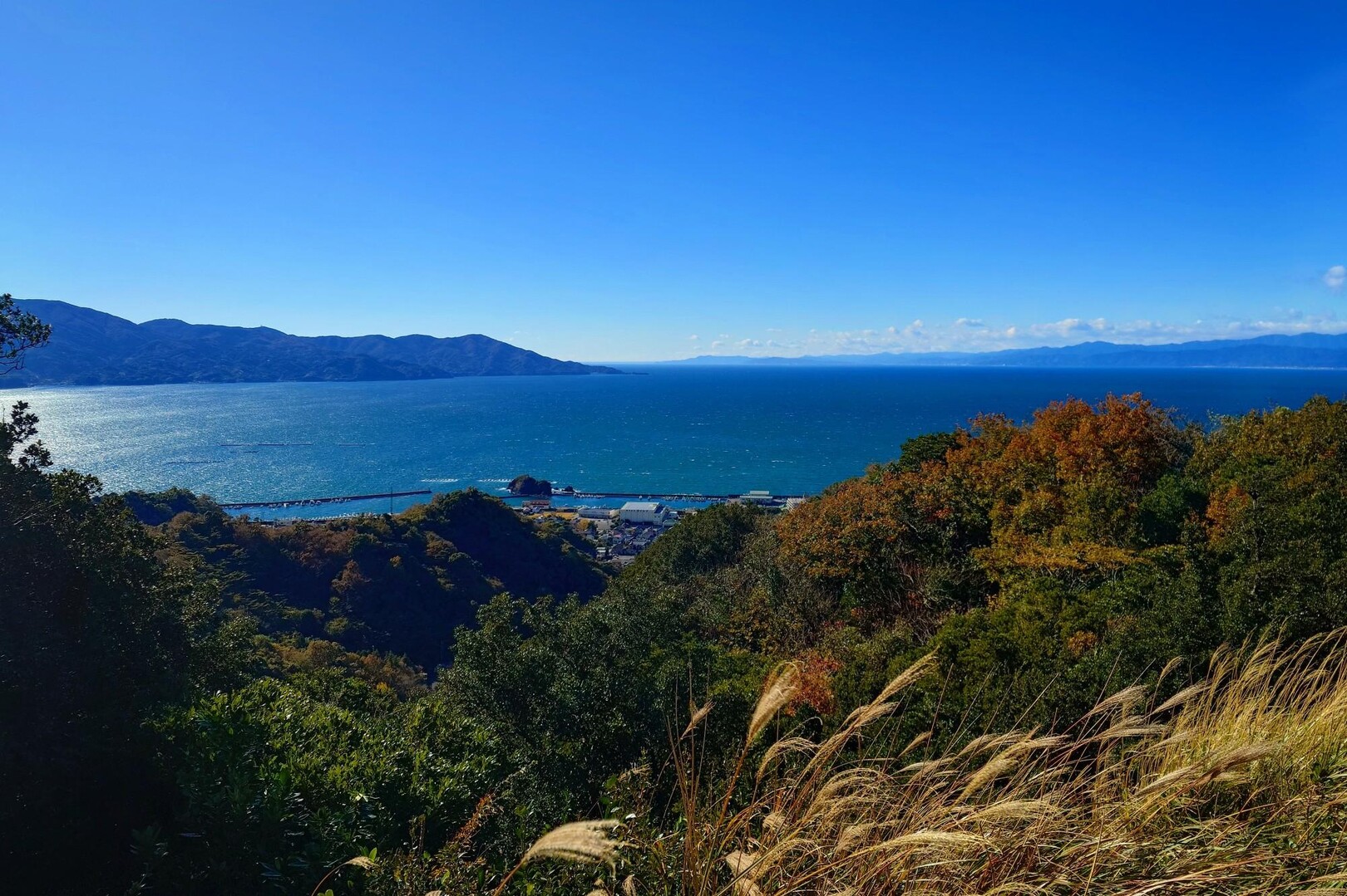 奥沼津＆沼津アルプス～原木st→沼津st / きょうちゃんさんの沼津アルプス・鷲頭山・香貫山の活動データ | YAMAP / ヤマップ
