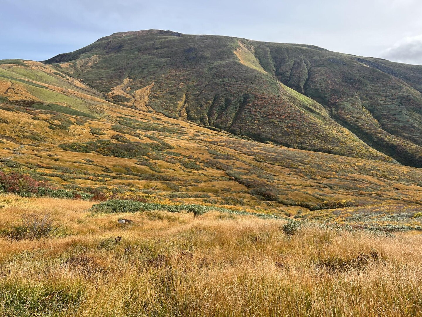 月山・姥ヶ岳 / SUさんの月山の活動データ | YAMAP / ヤマップ