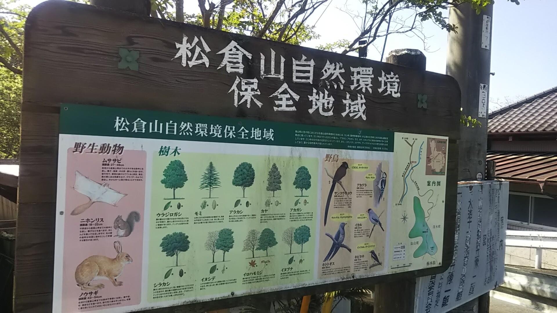 久々のお山歩です🎶 松倉山&鎌倉山の栃... / はくたかさんのモーメント | YAMAP / ヤマップ