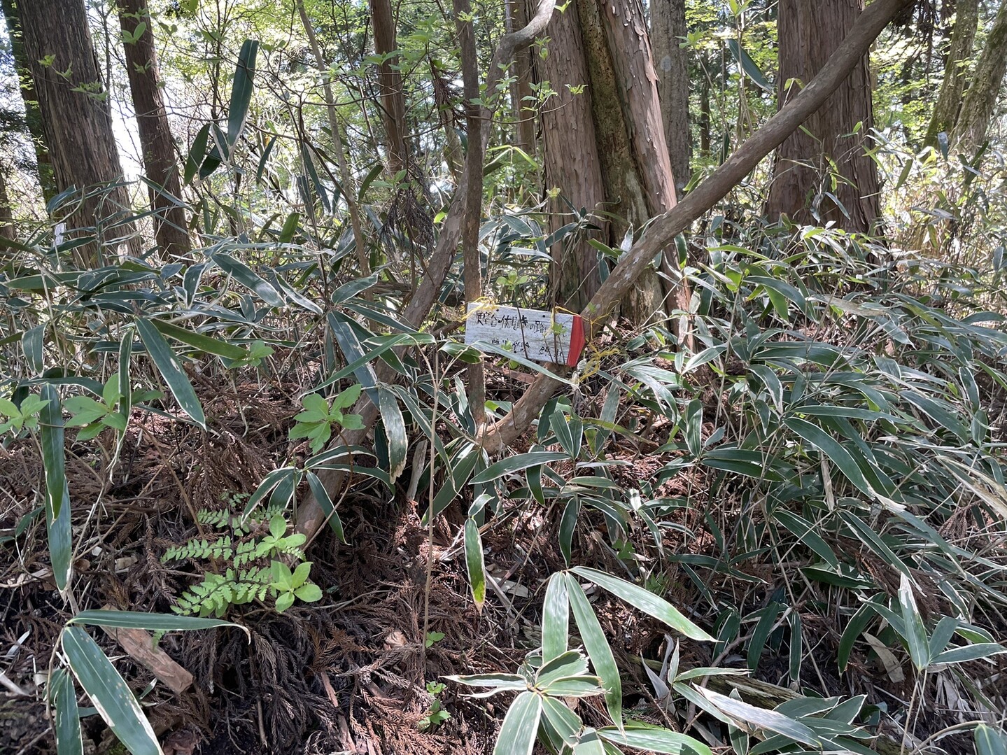 do-kichiさんの投稿したフィールドメモ | YAMAP / ヤマップ