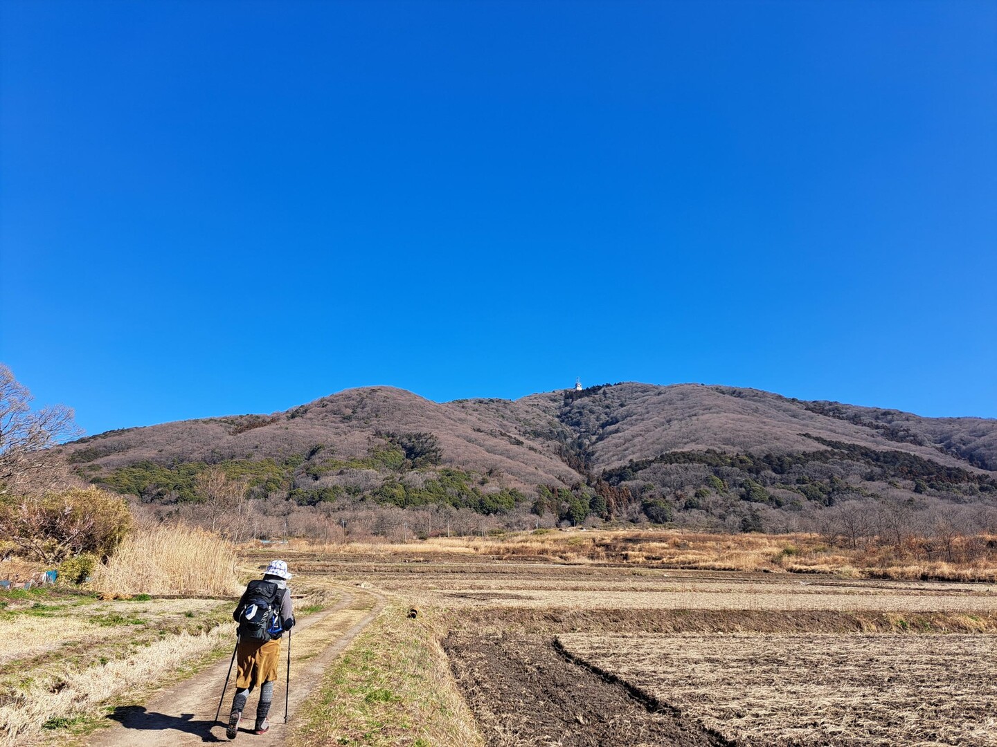 宝篋山_24年早春 / nem山さんの宝篋山・富岡山の活動日記 | YAMAP / ヤマップ