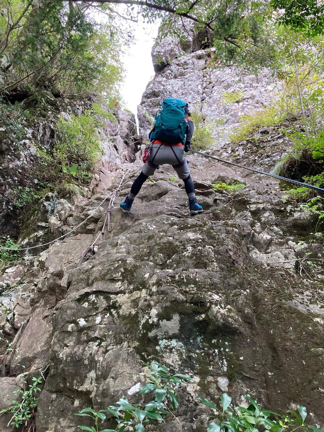 鷹ノ巣山・二ノ岳・三ノ岳 / Kyonkyonさんの英彦山の活動データ | YAMAP / ヤマップ