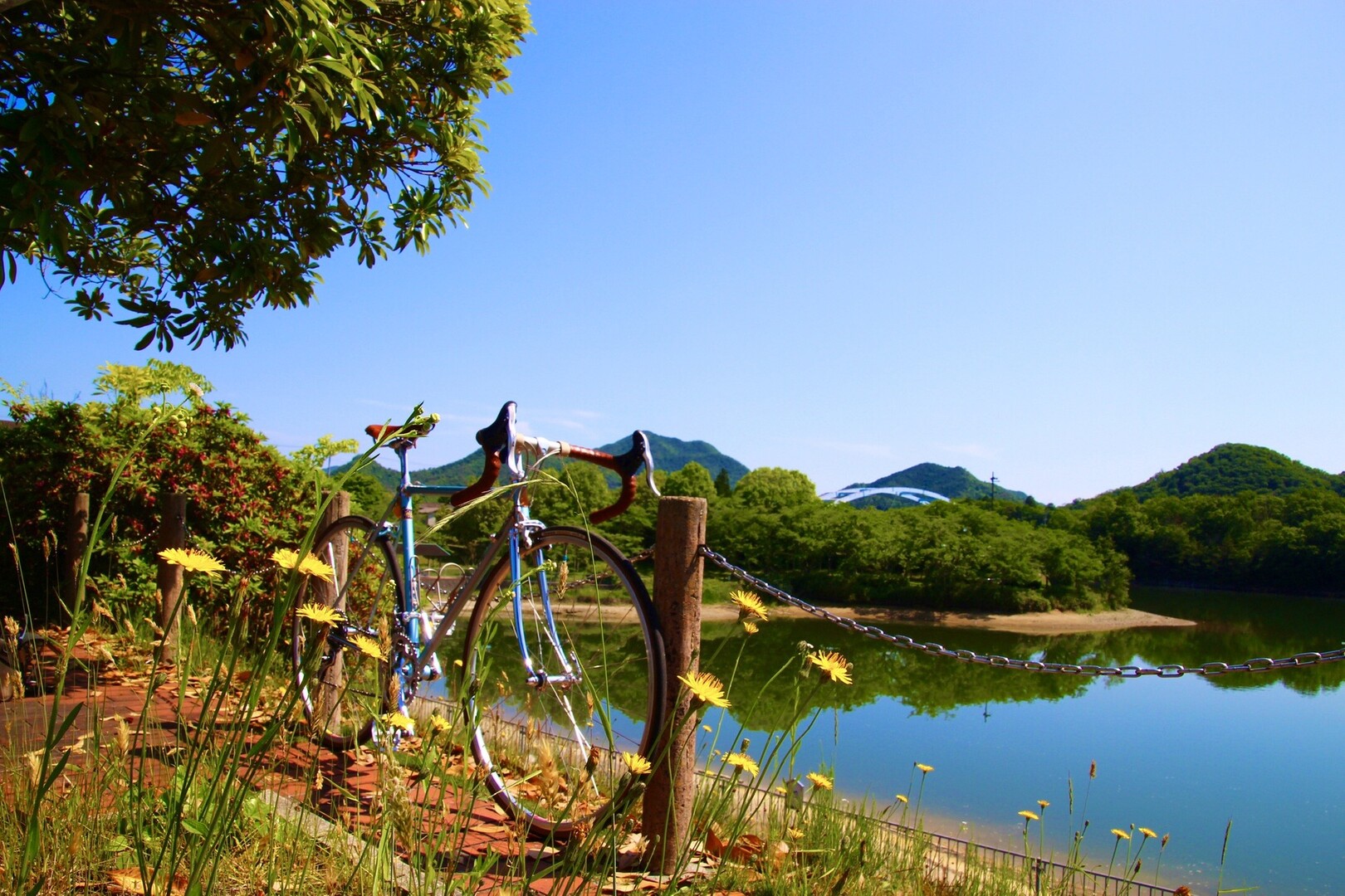 自転車日和🚲 / kazu51さんのモーメント | YAMAP / ヤマップ