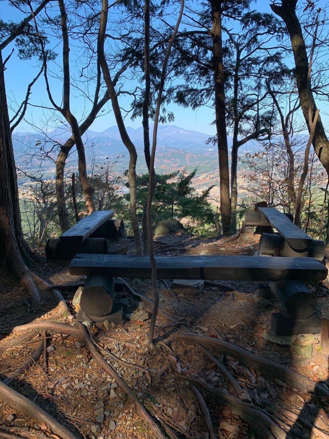 alさんの投稿したフィールドメモ | YAMAP / ヤマップ