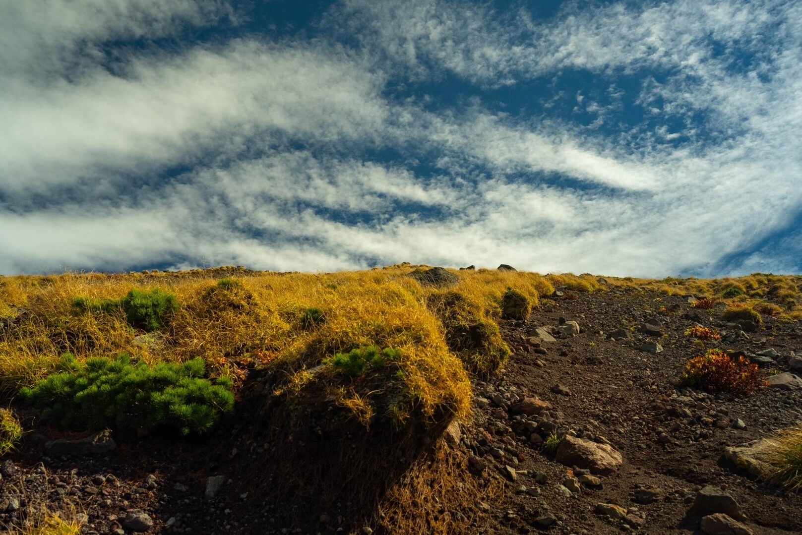 R4.9.25 岩手山 / kenzyさんの岩手山・黒倉山・鞍掛山の活動データ | YAMAP / ヤマップ