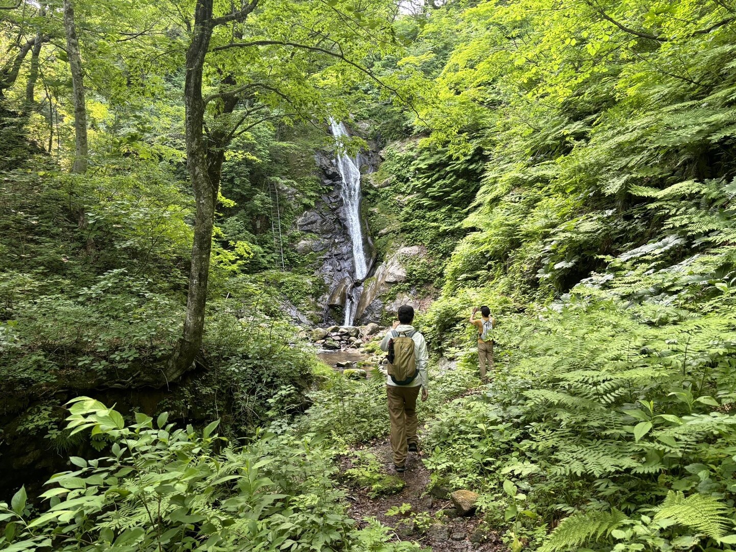 摩耶山 / mt.ryuさんの摩耶山の活動データ | YAMAP / ヤマップ