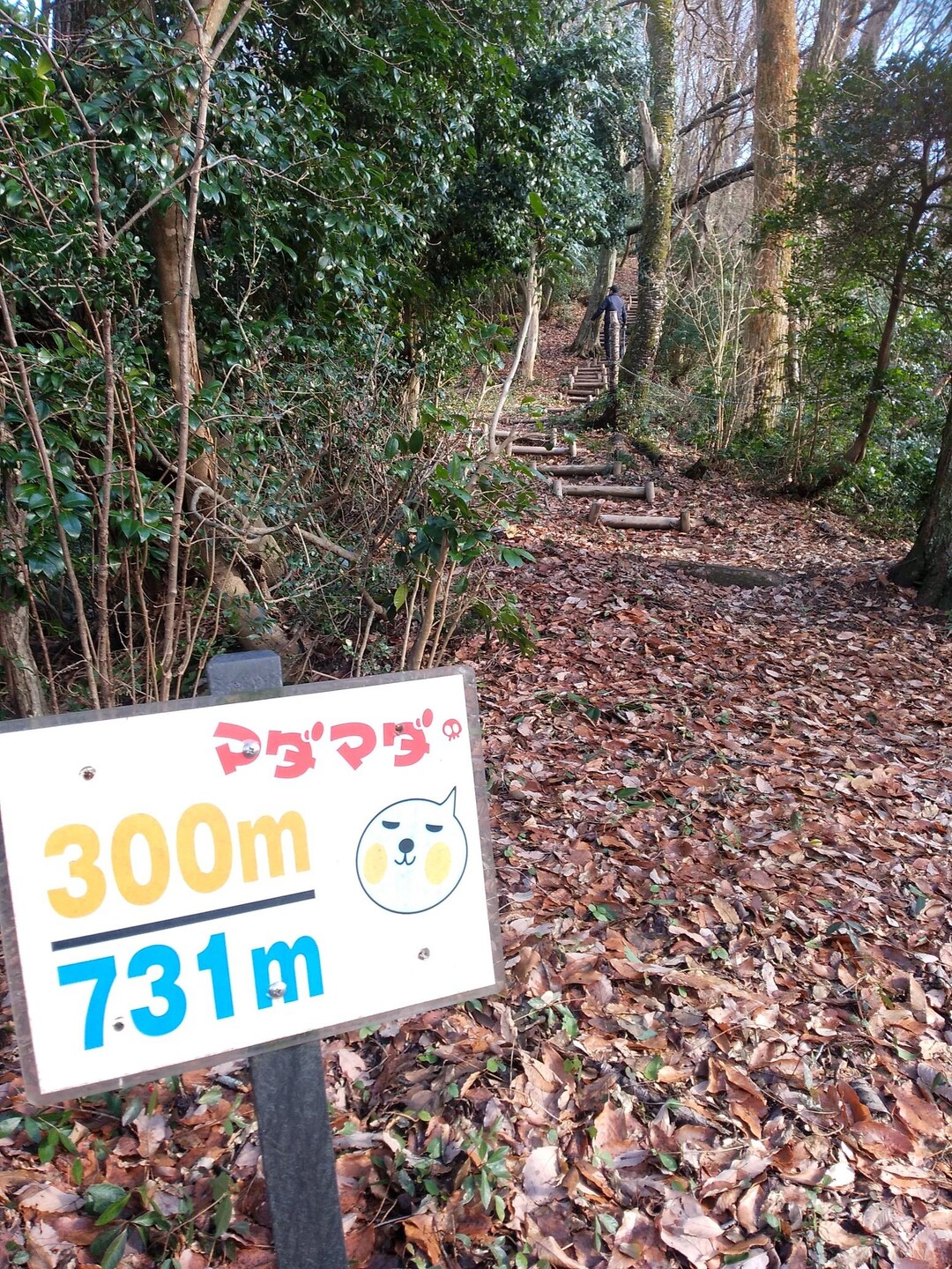 城山 / opal糸さんの城山・経ヶ岳・天神山の活動データ | YAMAP / ヤマップ