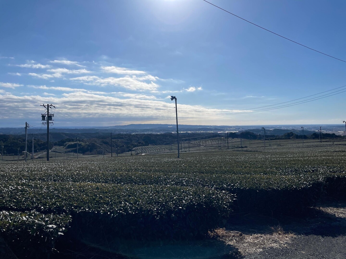 獅子ヶ鼻（岩室山） / TKC90さんの獅子ヶ鼻公園の活動データ | YAMAP / ヤマップ