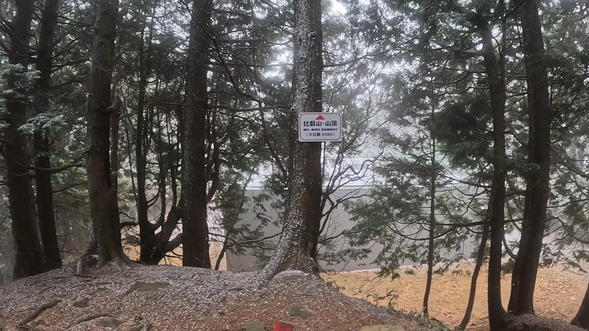 雪の比叡山トレイルラン / Maggioさんの比叡山・横高山・梶山の活動データ | YAMAP / ヤマップ