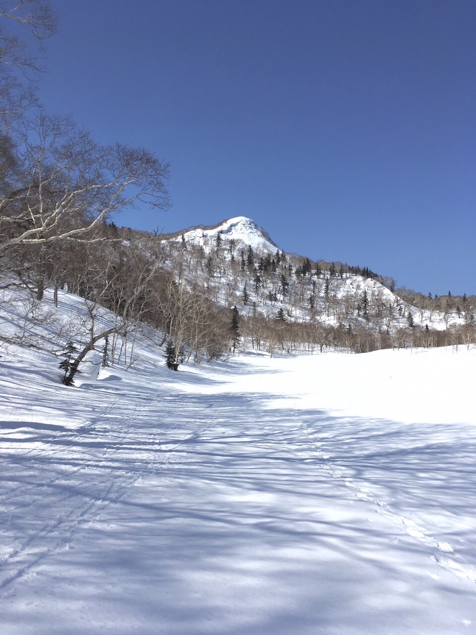 空沼岳、様茶平2021.3.27 / junyaさんの札幌岳・空沼岳の活動日記 | YAMAP / ヤマップ