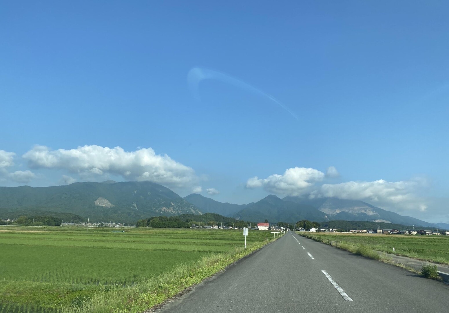 孫田尾根から丸山まで☀️ / nikoさんの藤原岳・御池岳の活動データ | YAMAP / ヤマップ