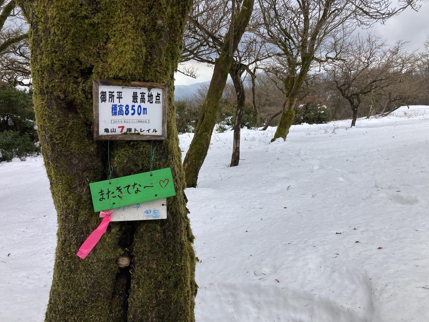 安楽峠〜御所平 / junyaさんの高畑山・那須ヶ原山・油日岳の活動データ | YAMAP / ヤマップ