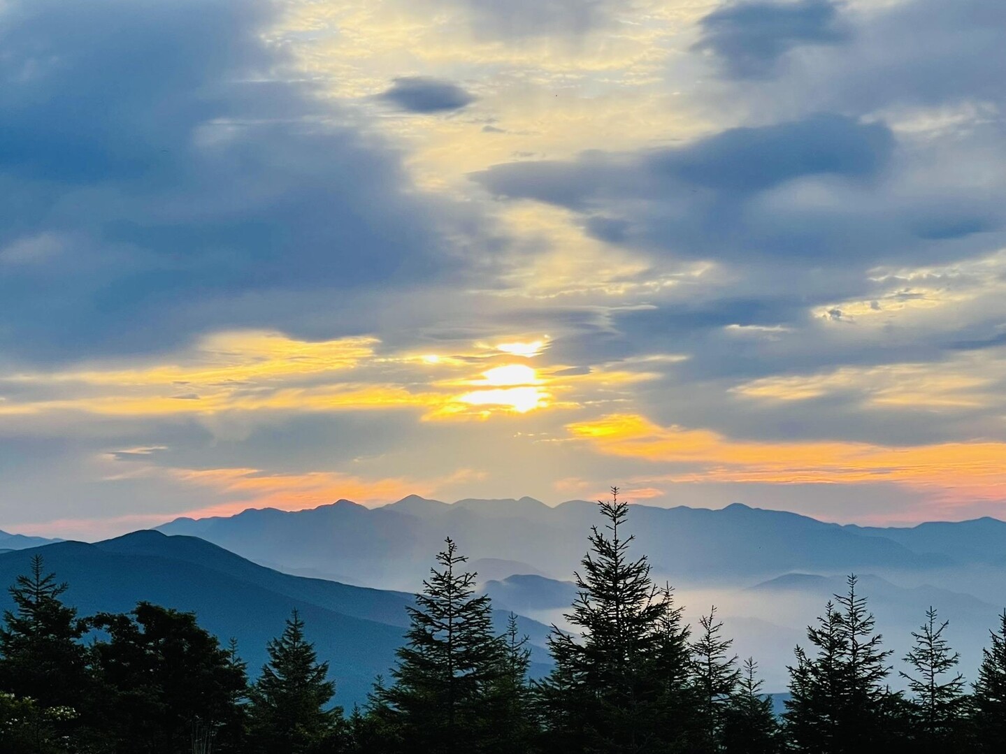 🗻二ツ塚(下二ツ塚・上二ツ塚）⛩️ / tam-tamさんの富士山の活動データ | YAMAP / ヤマップ