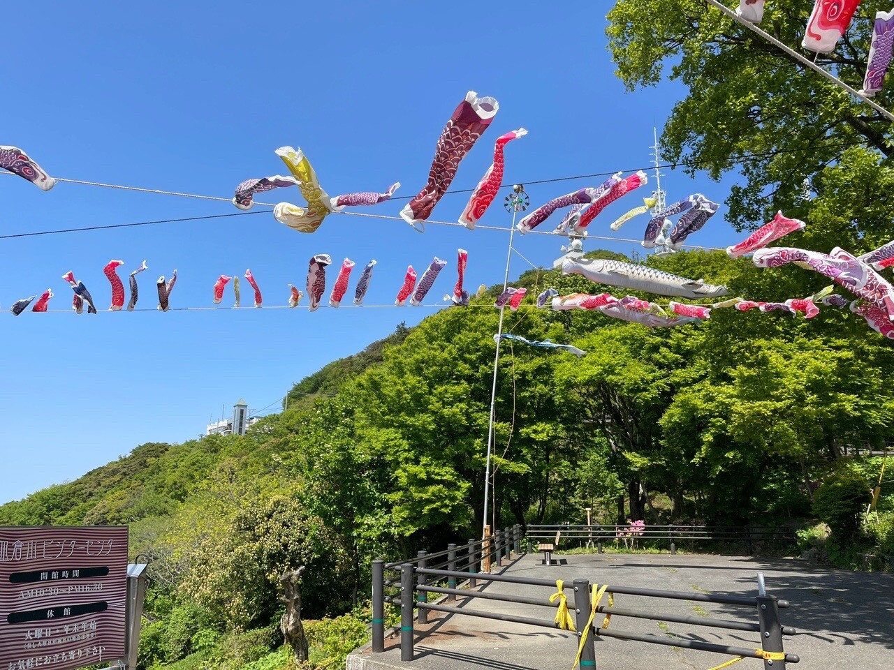 青空を泳ぐ鯉のぼり🎏 / オグリさんのモーメント | YAMAP / ヤマップ