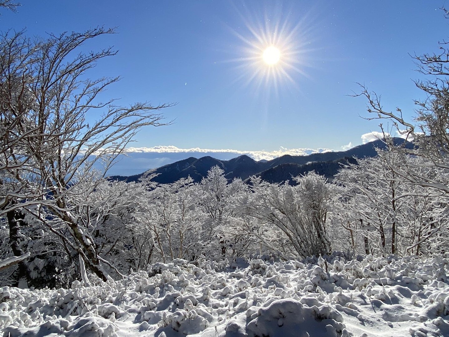 蛭ヶ岳 釜立林道ゲート〜八丁坂ノ頭分岐〜八丁坂ノ頭〜姫次〜山頂〜姫次〜青根分岐〜八丁坂ノ頭分岐〜釜立林道ゲート / zyさんの大室山・畦ヶ丸山・菰釣山の活動データ | YAMAP / ヤマップ