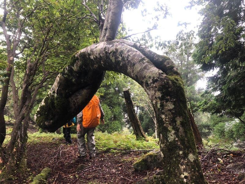 藤無山 宍粟50山 https://sh... / 京都趣味登山会さんのモーメント | YAMAP / ヤマップ
