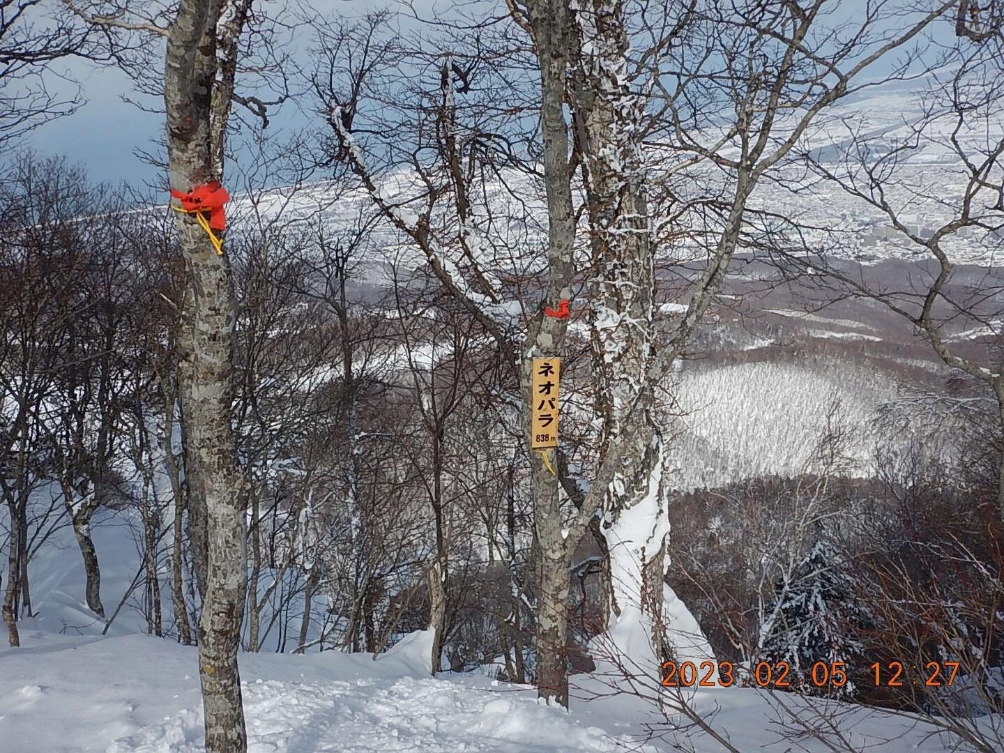 ネオパラ、2023-02-05 / came-ponさんの百松沢山の活動データ | YAMAP / ヤマップ