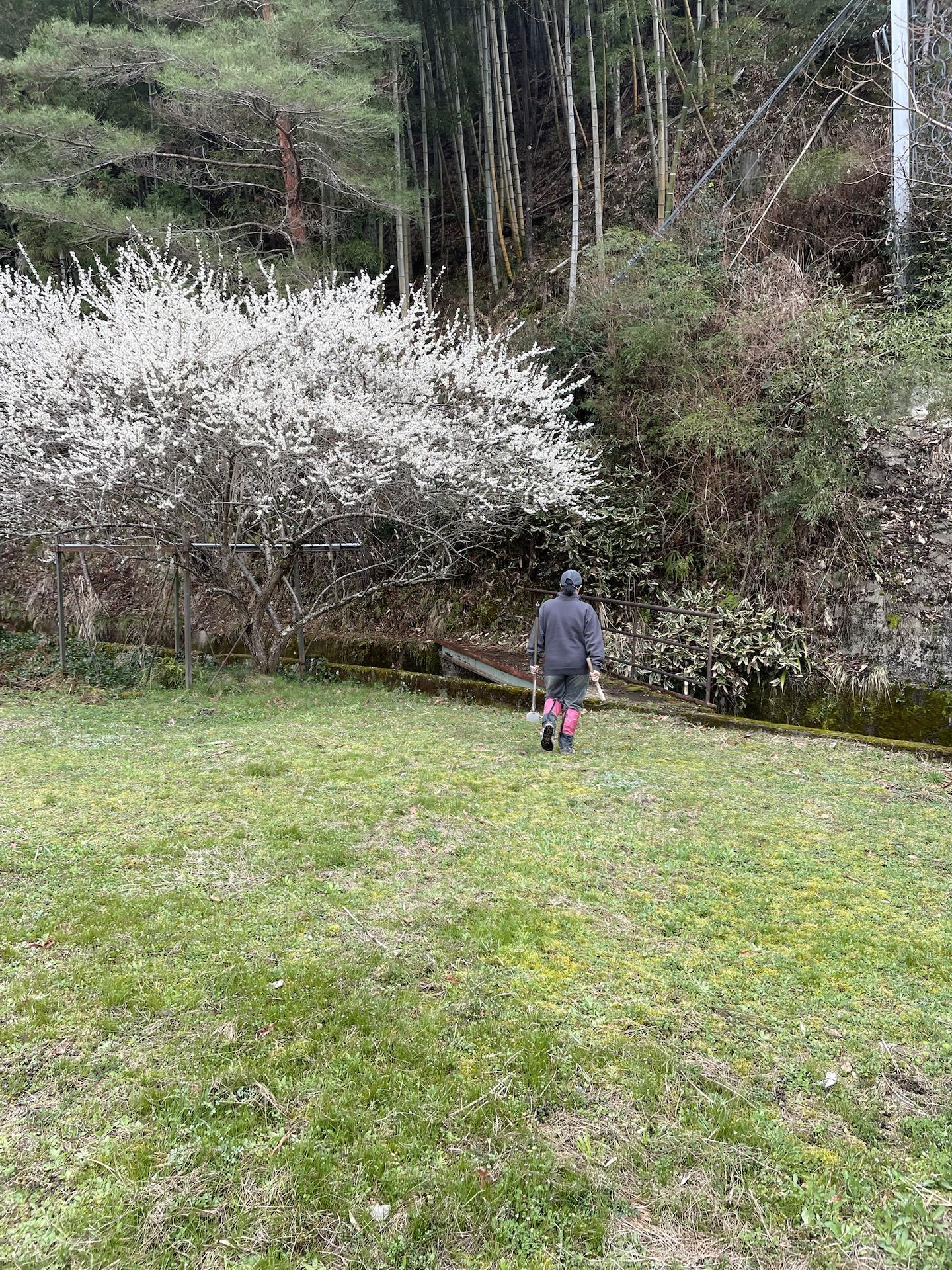 R7.3.29 今日はおやすみ… 親が「... / hiro‪ ·͜·ᰔᩚさんのモーメント | YAMAP / ヤマップ
