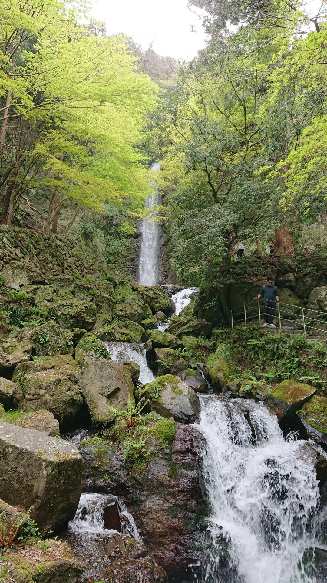 御当岳・養老山・小倉山・北尾根P826峰 / Dragonさんの養老山・笙ヶ岳・三方山の活動データ | YAMAP / ヤマップ