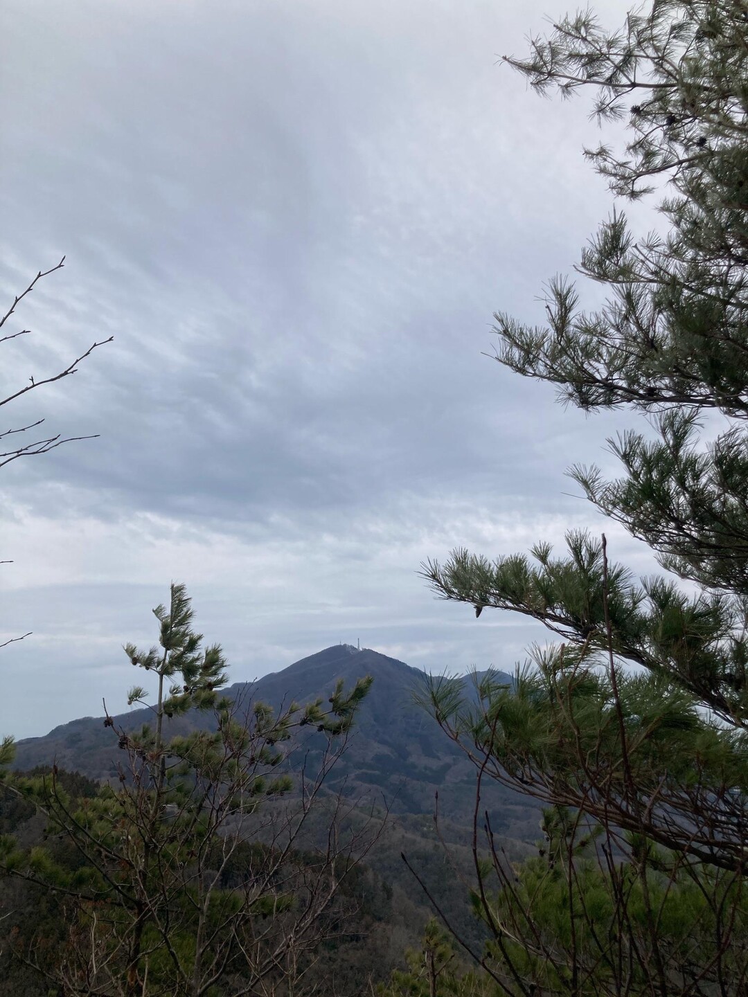 やっぱ春国上山⛰️3 / katsu.fdさんの弥彦山・多宝山・雨乞山の活動データ | YAMAP / ヤマップ