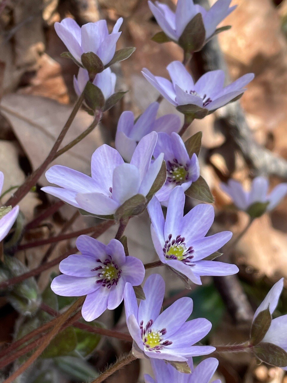 kaizaさんの投稿したフィールドメモ | YAMAP / ヤマップ