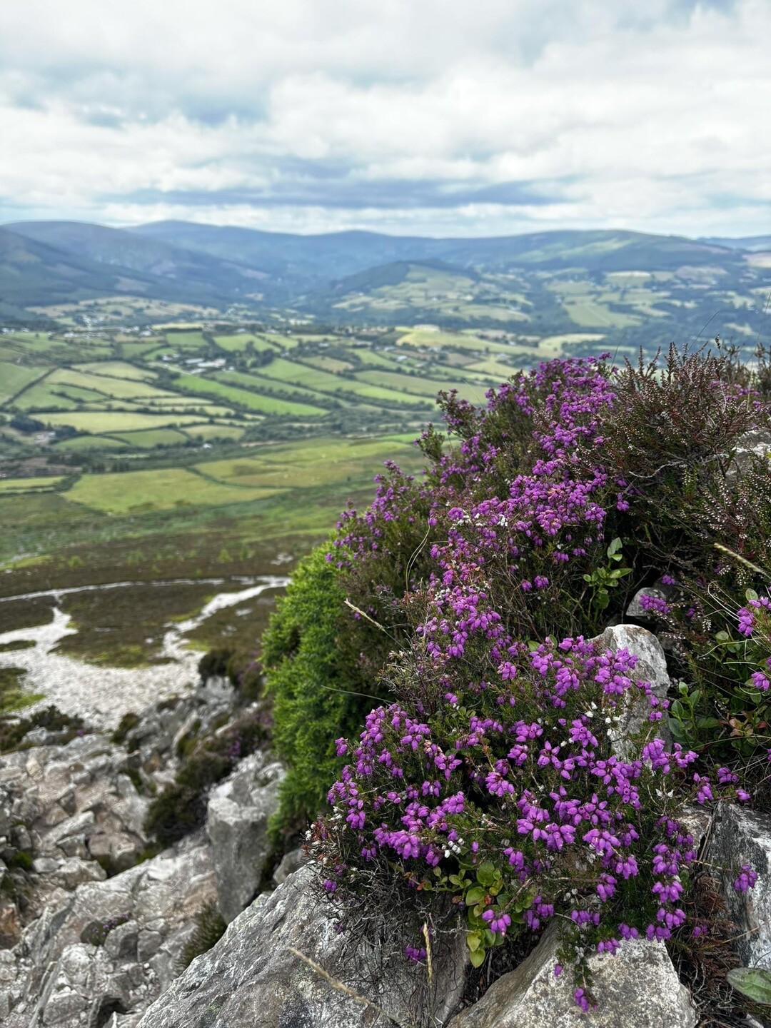 Great Sugar loaf ,Wicklow ,Ireland / さくちん。さんのウォーキングの活動データ | YAMAP / ヤマップ
