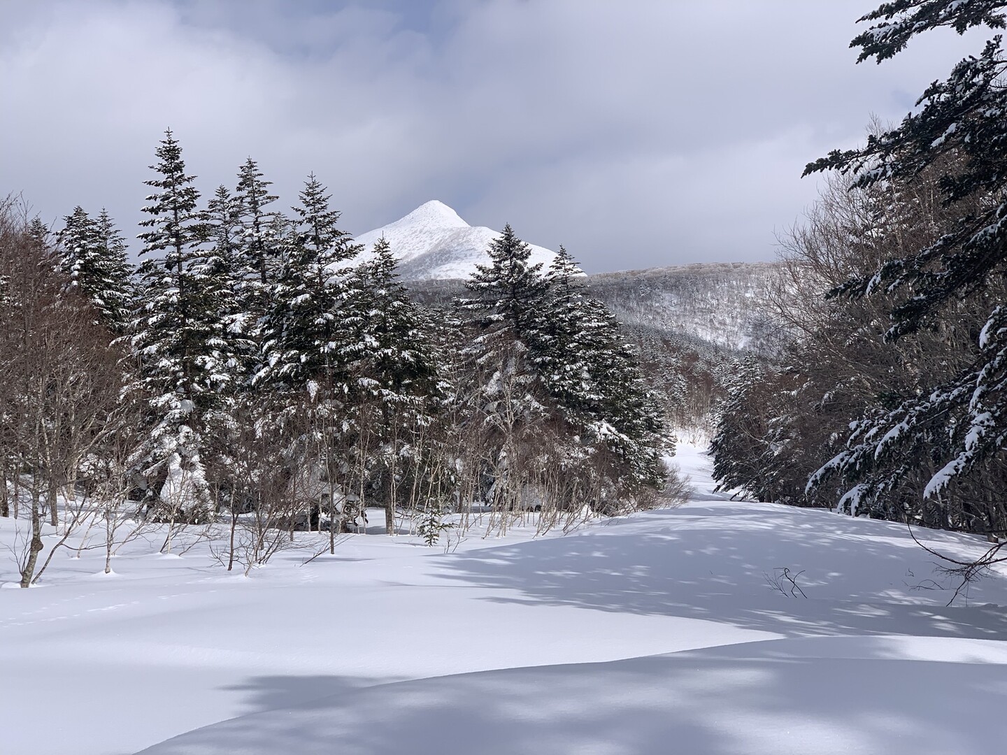 初めての徳舜瞥山登山＆ニョロニョロ再会 / miki-yamaさんの徳舜瞥山・ホロホロ山の活動日記 | YAMAP / ヤマップ