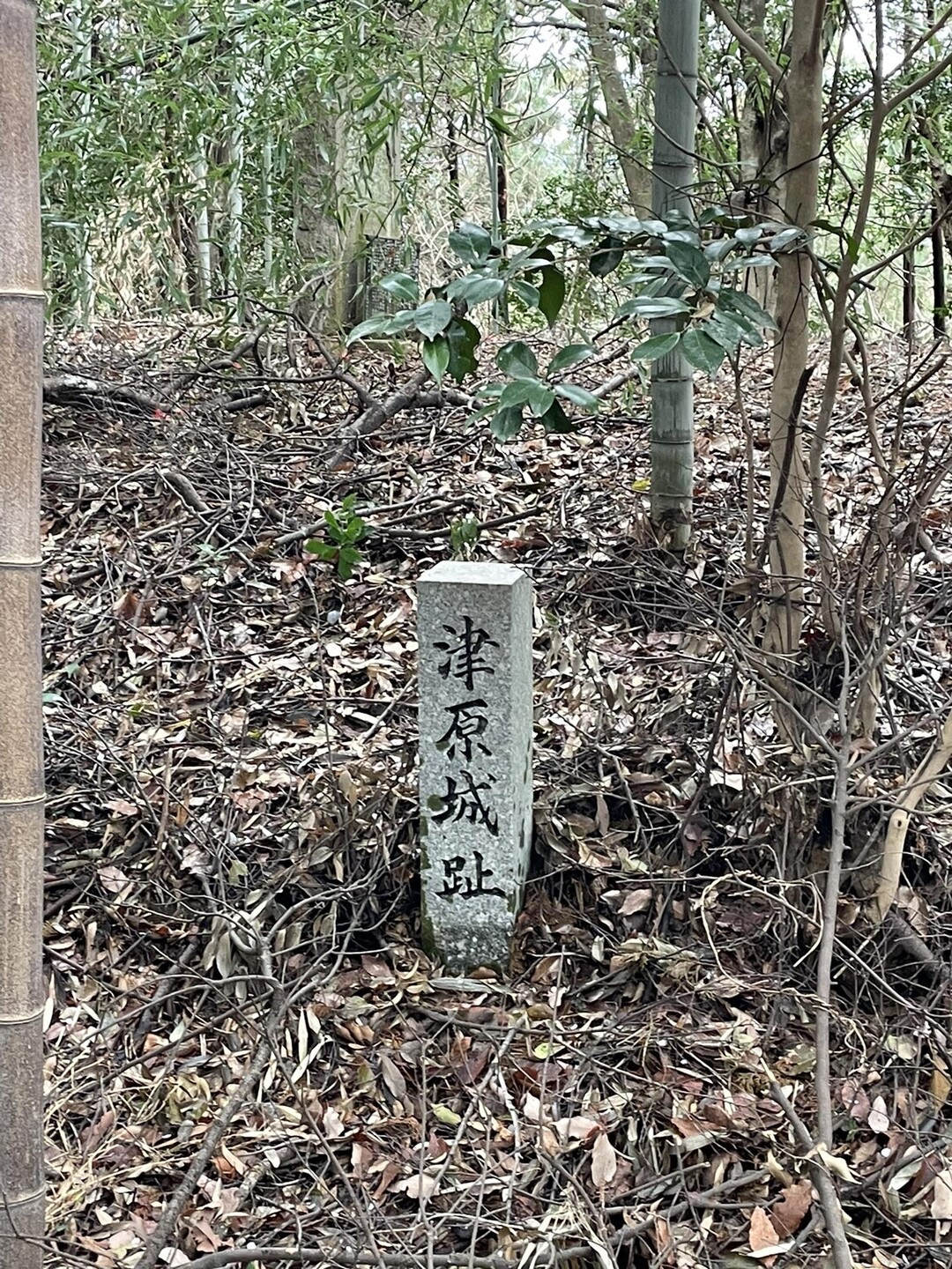 稲積山 / JBT会員番号5さんの下関市（中心部・山陰地区・山陽地区）の活動データ | YAMAP / ヤマップ