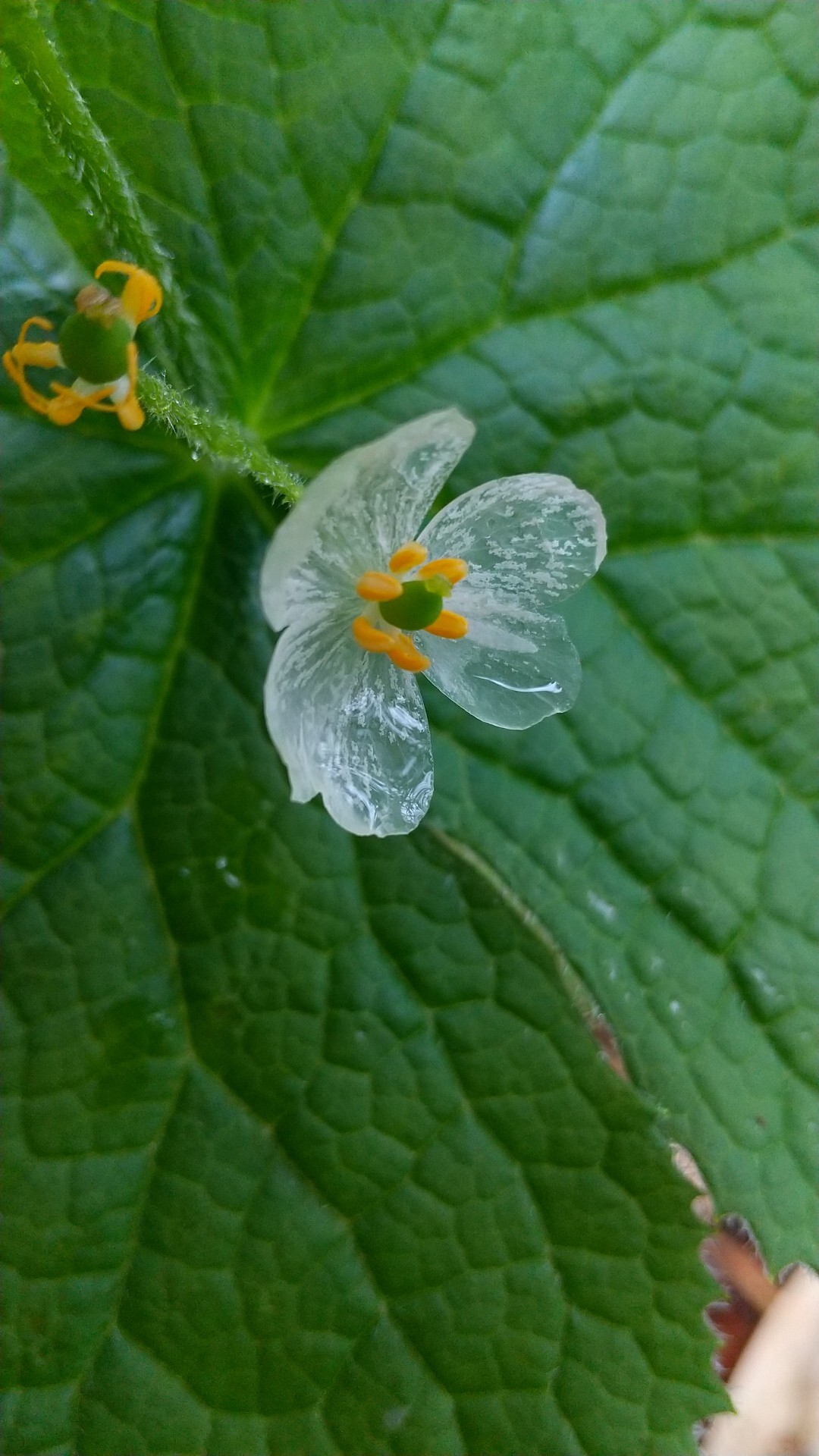 jmのページ | YAMAP / ヤマップ