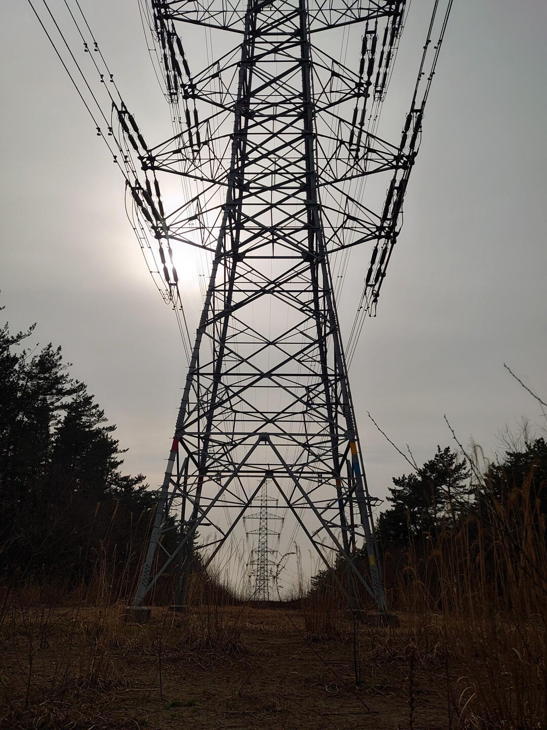 郷力山① / aer0ckさんの秋田市の活動データ | YAMAP / ヤマップ