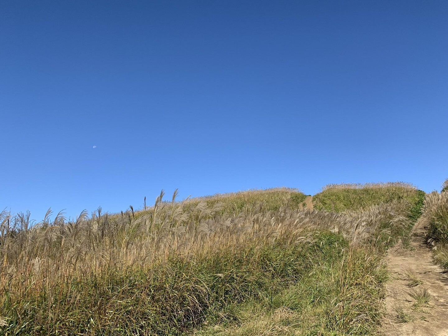 ブログ更新しました^ ^ 「大和葛城山」... / HIさんのモーメント | YAMAP / ヤマップ