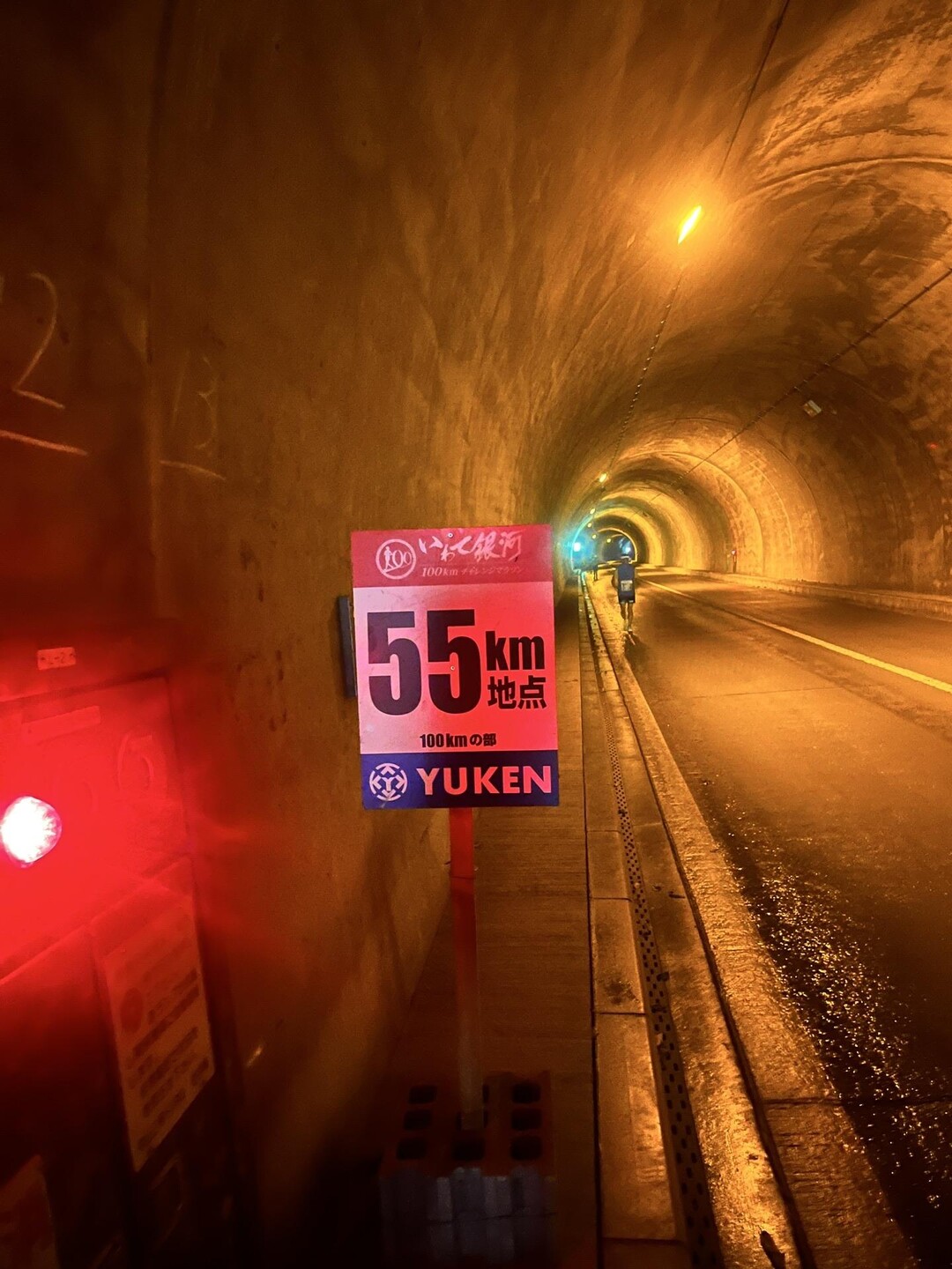 第17回いわて銀河100kマラソン / パインさんのランニングの活動データ | YAMAP / ヤマップ