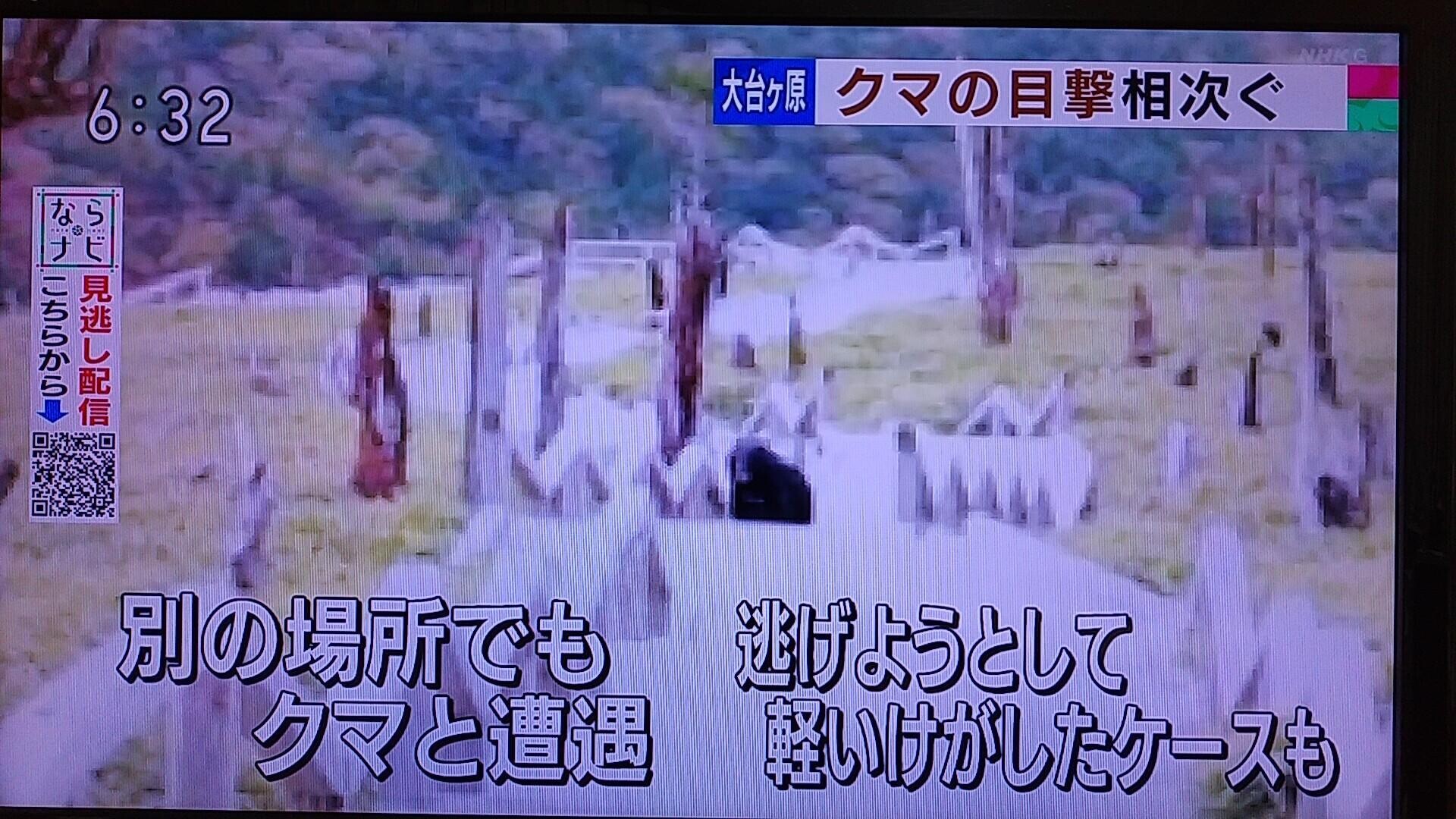 『大台ヶ原でクマの目撃相次ぐ』 11/4... / kawaさんのモーメント | YAMAP / ヤマップ