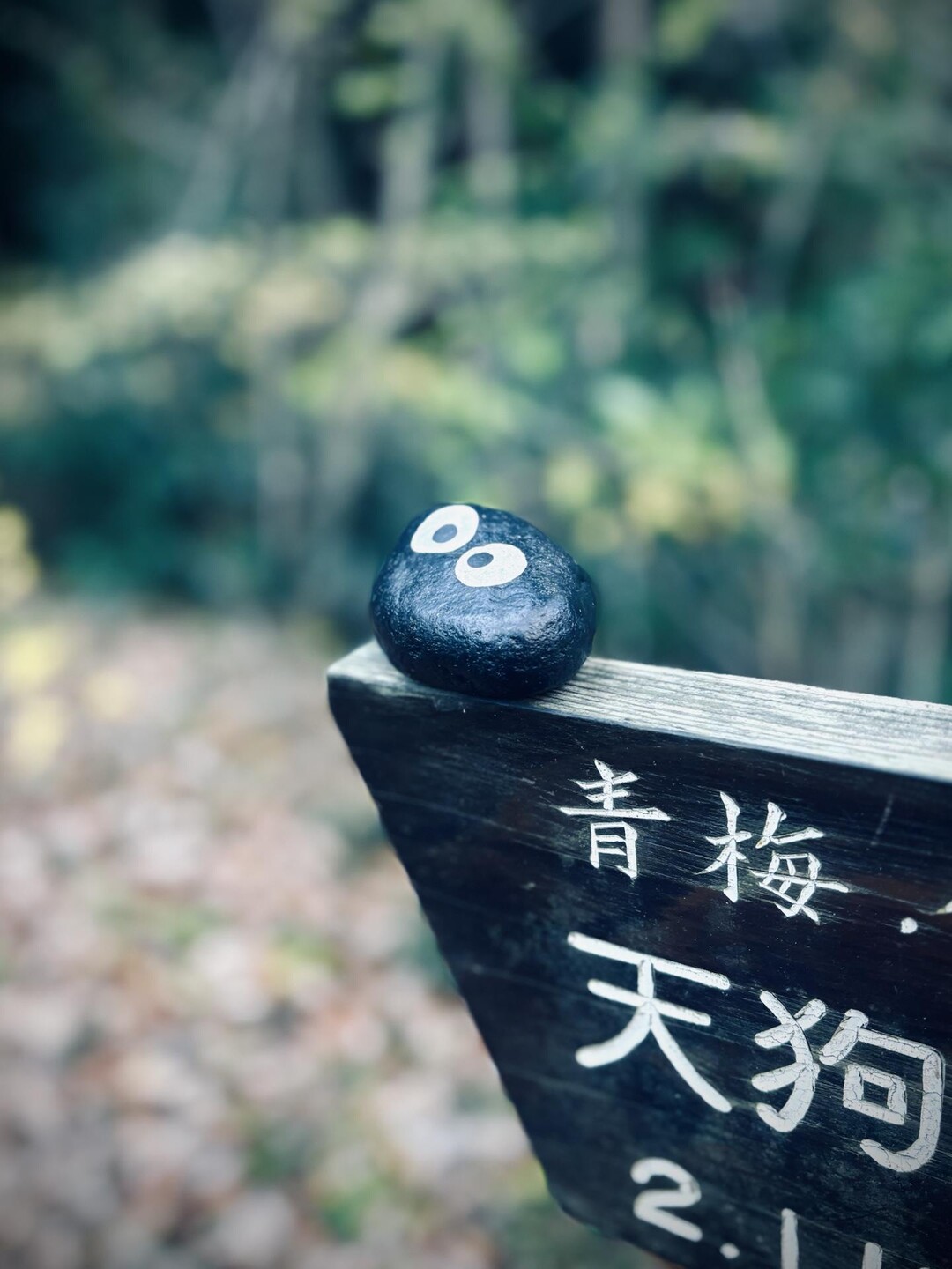 2024登り納め！の赤ぼっこ！ / fum tomさんの赤ぼっこの活動データ | YAMAP / ヤマップ