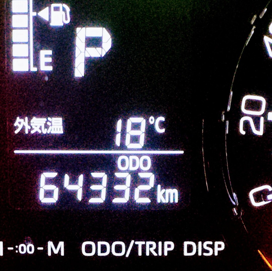 急に寒くなりました。 #101 / tsuj28さんのモーメント | YAMAP / ヤマップ