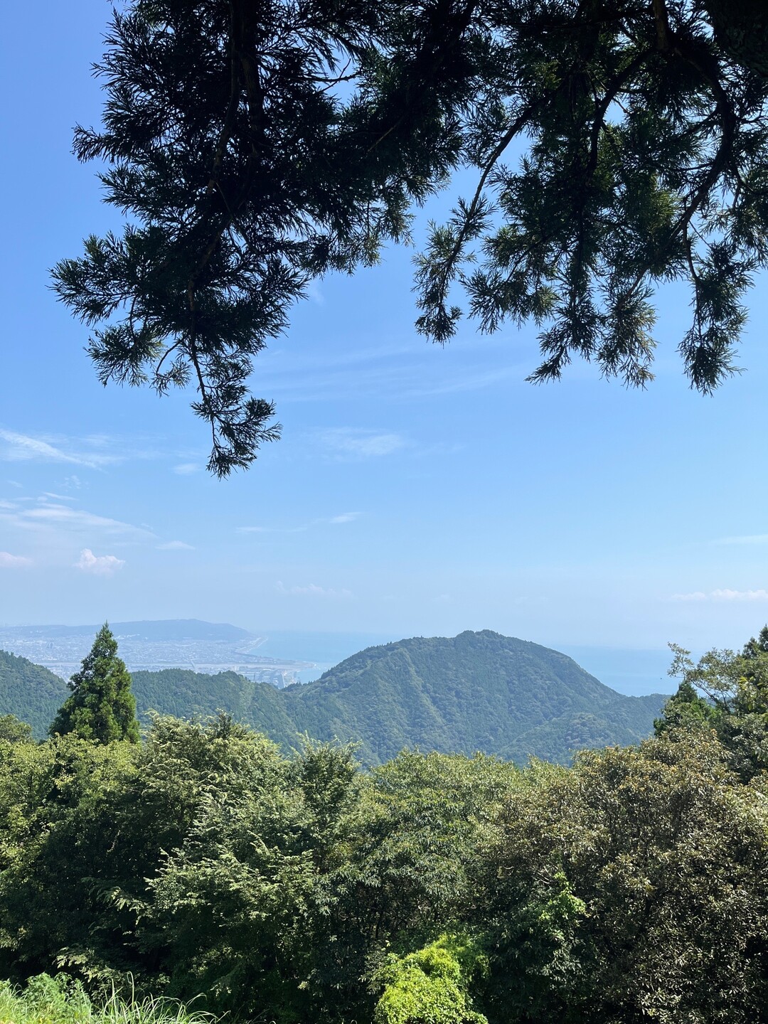高草山(東峰)・大ベラ山 / ka-zさんの焼津アルプス（高草山・満観峰・花沢山）・徳願寺山の活動データ | YAMAP / ヤマップ