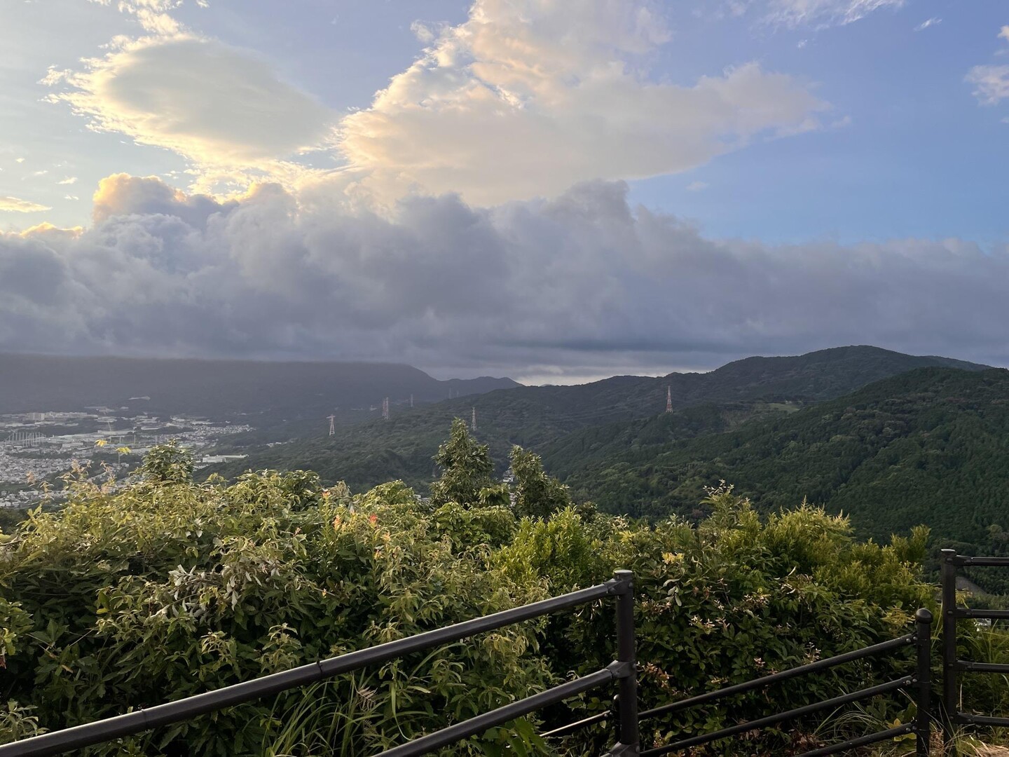 井野山-2024-2024-7-19(90) / kaz@Tak2さんの井野山の活動データ | YAMAP / ヤマップ