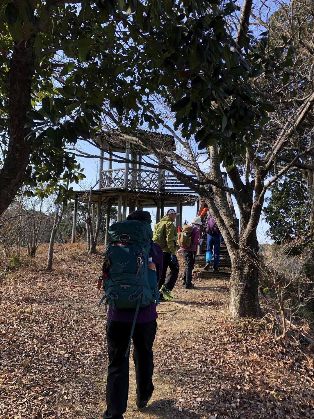 2023.02_東山森林公園 ・伊尾木洞 / 安芸市の写真22枚目 | YAMAP / ヤマップ