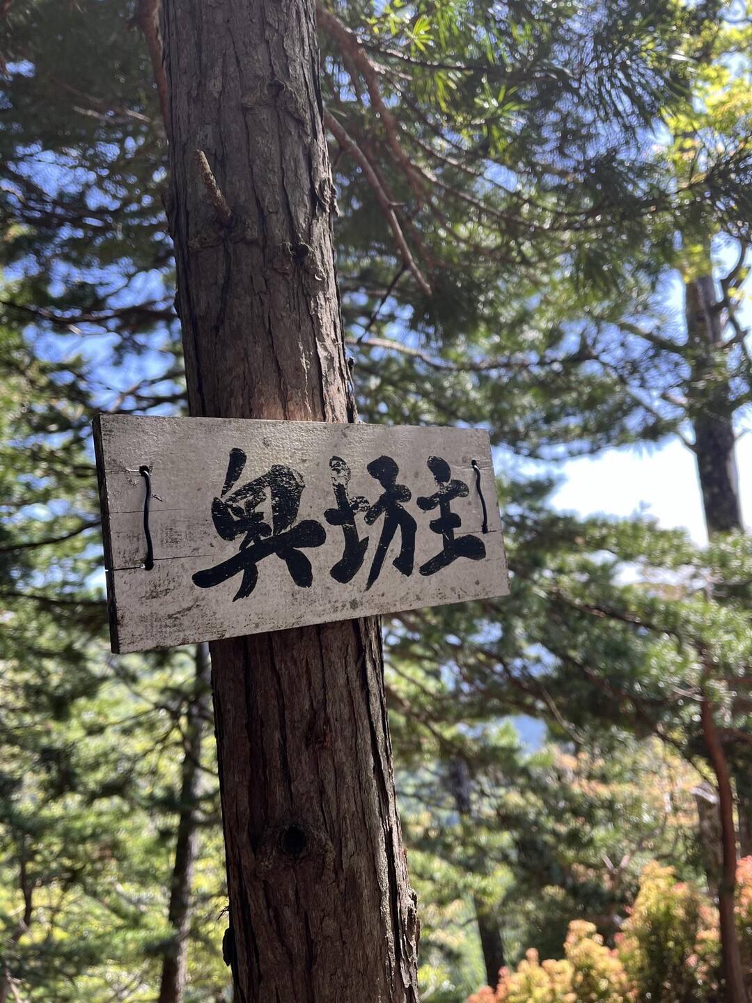 【秘境？】奥坊主・口坊主 / 良 ⛩ OKDさんの大台ヶ原山・日出ヶ岳・大杉谷の活動データ | YAMAP / ヤマップ