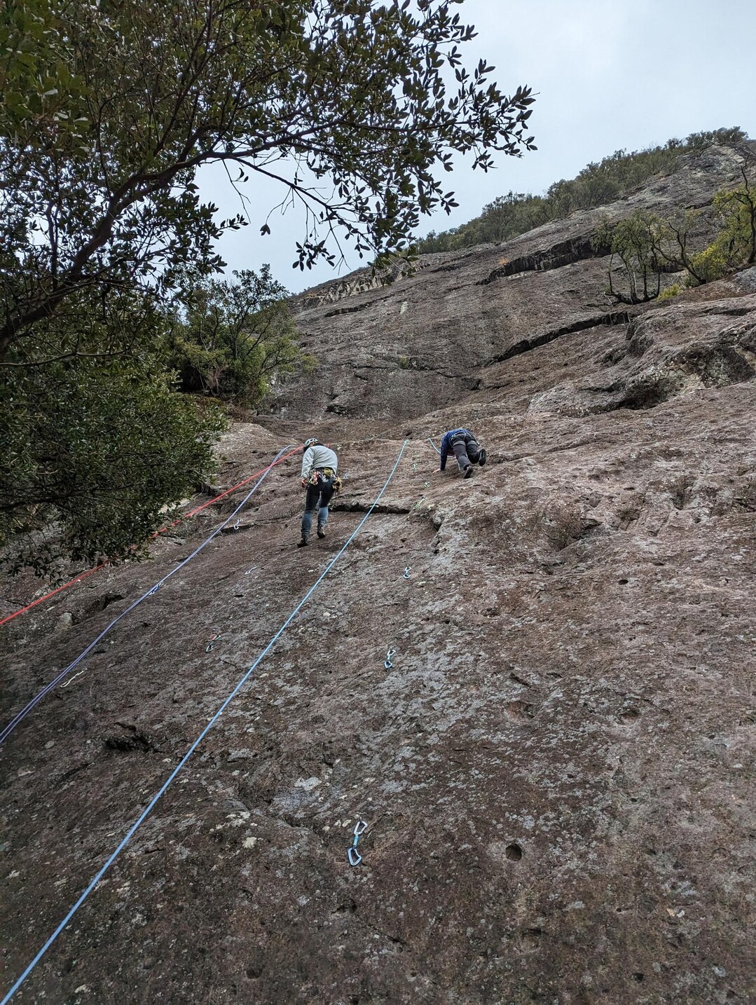 11月の左手首骨折以来久々のクライミング... / j-saitohさんのモーメント | YAMAP / ヤマップ