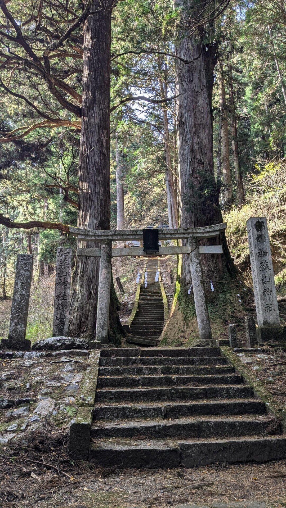 有休消化で鳴蟲山・石裂山・月山周回 / kkr173さんの石裂山の活動データ | YAMAP / ヤマップ