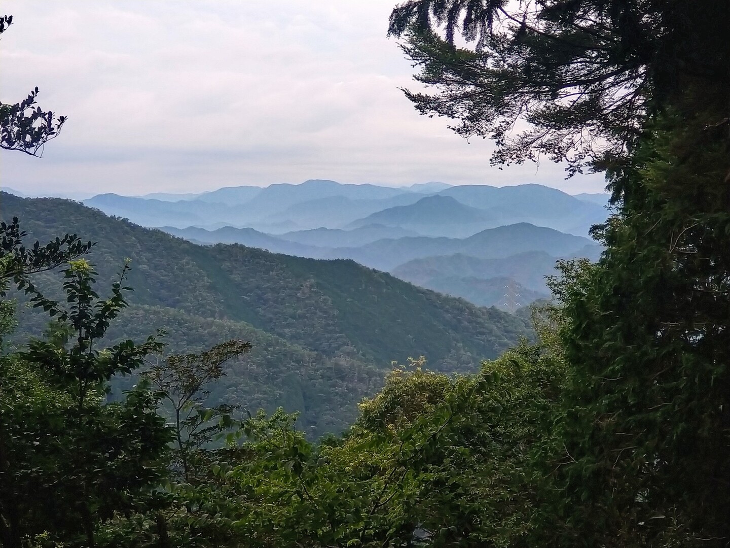 朝トレ⑤誕生山 / ATSUさんの天王山・誕生山の活動データ | YAMAP / ヤマップ