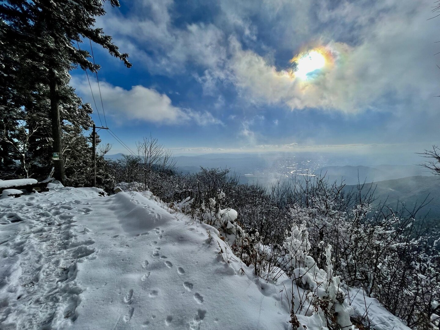 晩秋の京都観光🍁愛宕山周回ルート35km😁 / Y45Uさんの京都一周トレイルの活動日記 | YAMAP / ヤマップ