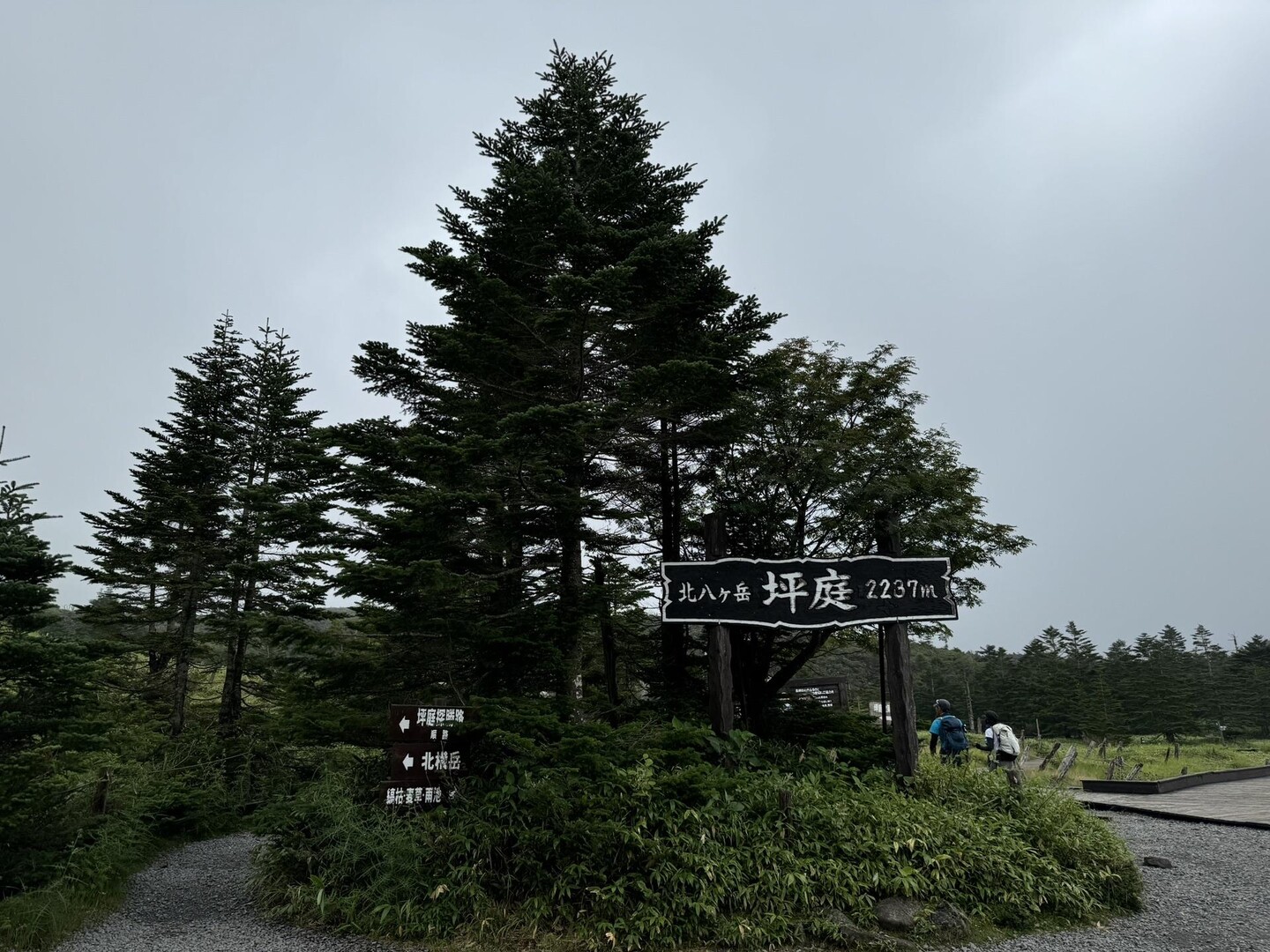 yumiさんの投稿したフィールドメモ | YAMAP / ヤマップ