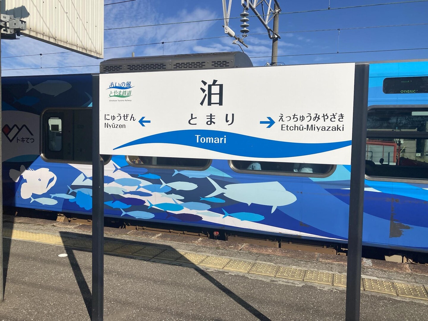 2024.10.14 あいの風とやま鉄道... / えのもさんのモーメント | YAMAP / ヤマップ