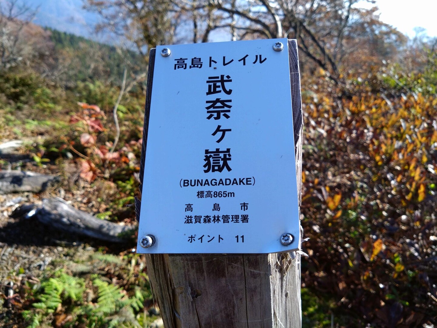 武奈ヶ嶽 JA/SI-022 / muuさんの高島トレイル その2の活動データ | YAMAP / ヤマップ