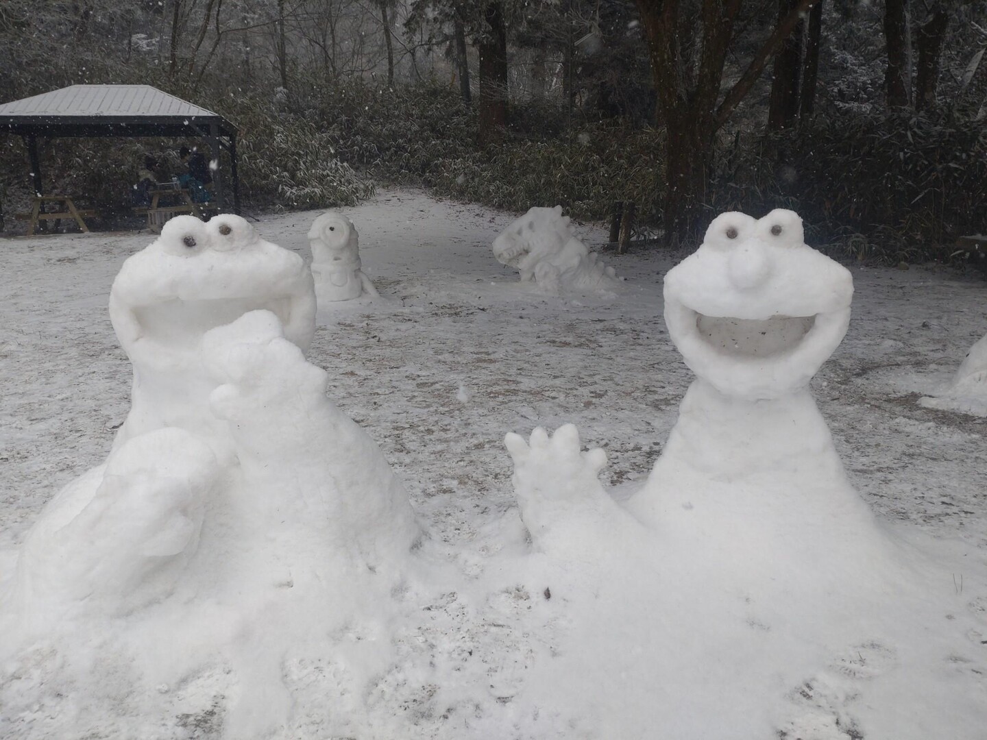 雪の金剛山 USK入場しました！🙂 / みゆき。さんの金剛山・二上山・大和葛城山の活動データ | YAMAP / ヤマップ