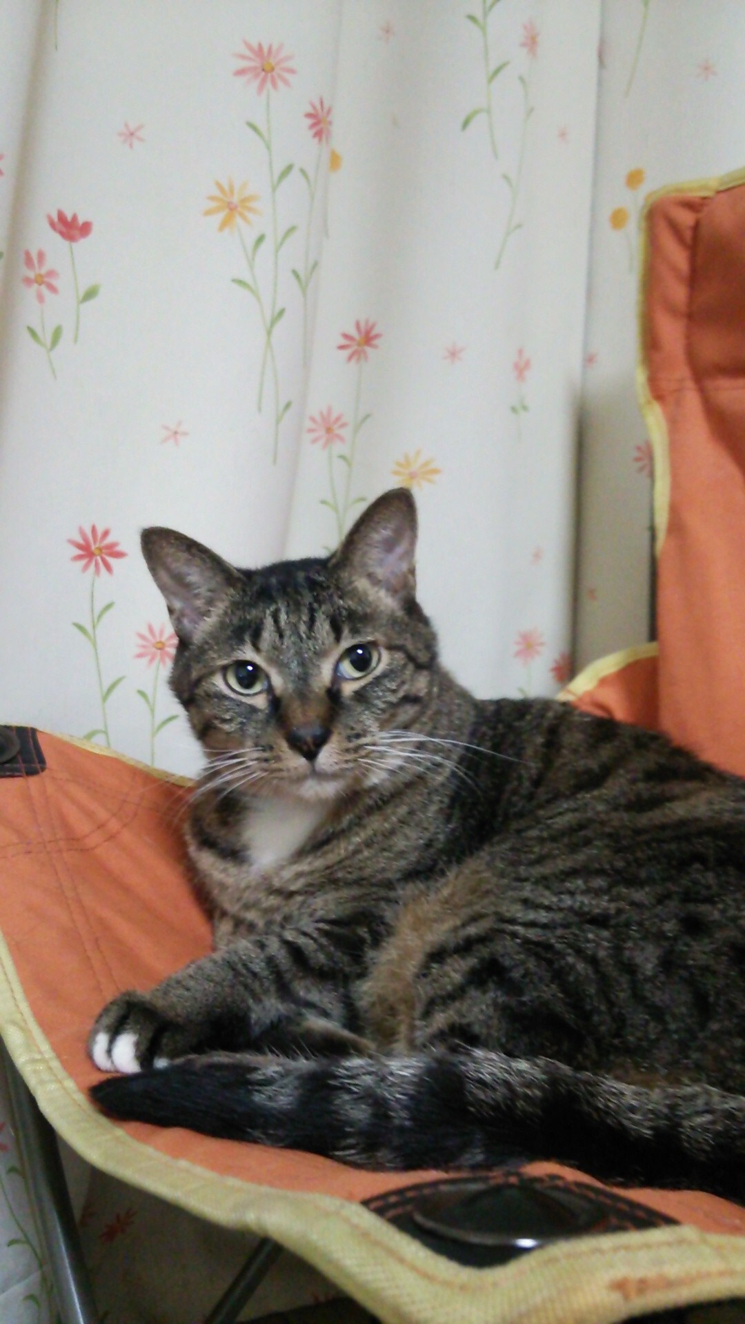 campziziのページ | YAMAP / ヤマップ