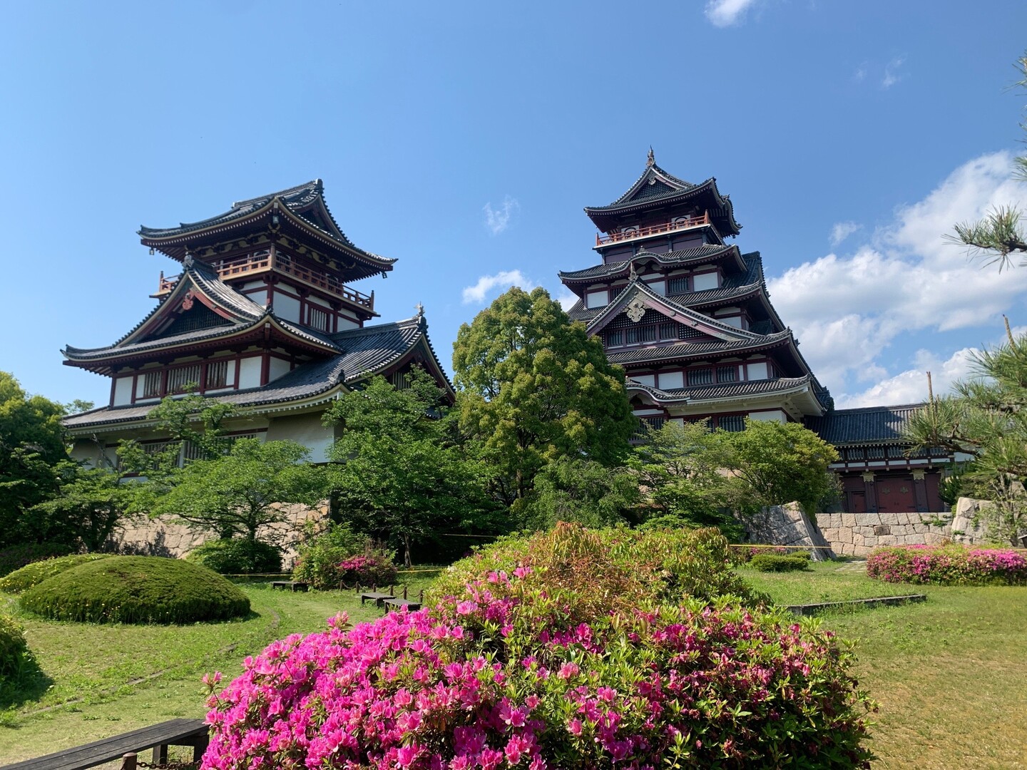 乃木神社・桃山陵墓地・伏見桃山城 / masurinさんの音羽山・醍醐山の活動データ | YAMAP / ヤマップ
