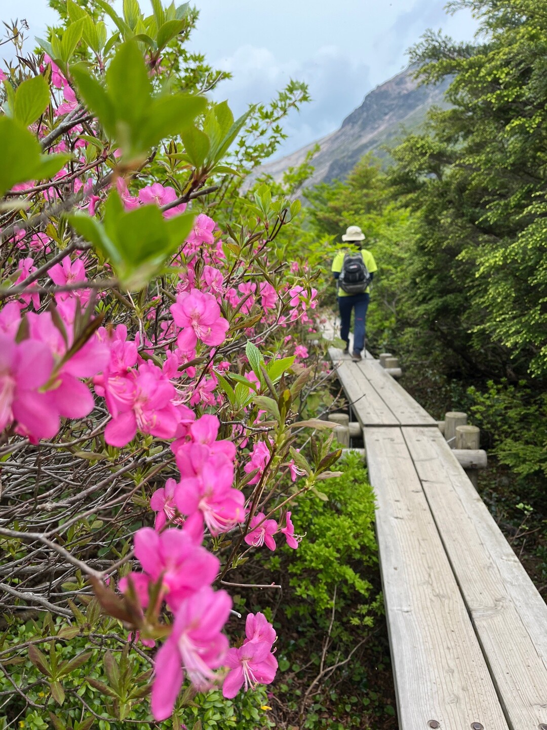 栃木百名山⛰白笹山・南月山 / みかぽん1221さんの茶臼岳（那須岳）・三本槍岳・赤面山の活動日記 | YAMAP / ヤマップ